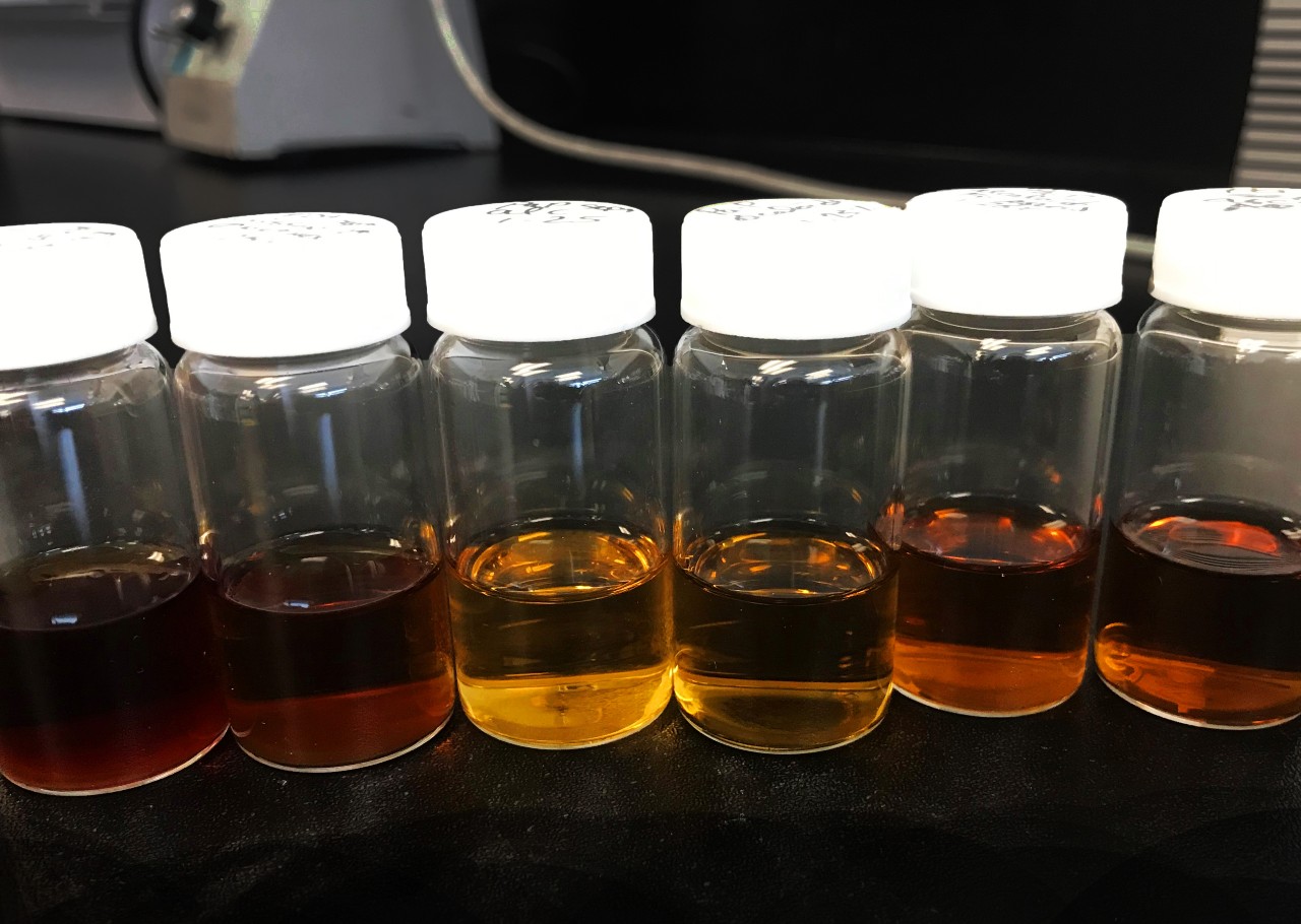 Les écorces d’essence forestière québécoise, une biomasse de choix pour ...